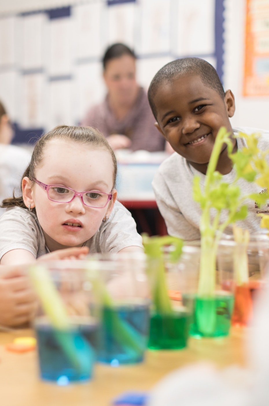New Foundations In The Classroom